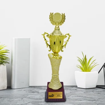 Order Custom Designed Premium Winner Office Trophy - Presto