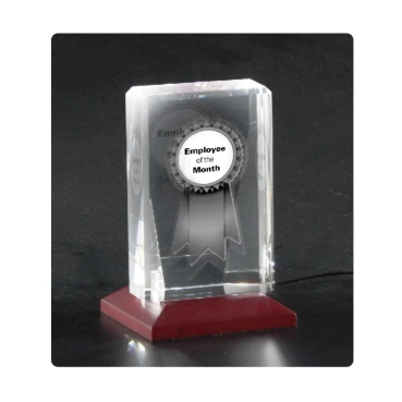 Order Exclusive Custom 3D Crystal Photo By PrestoGifts